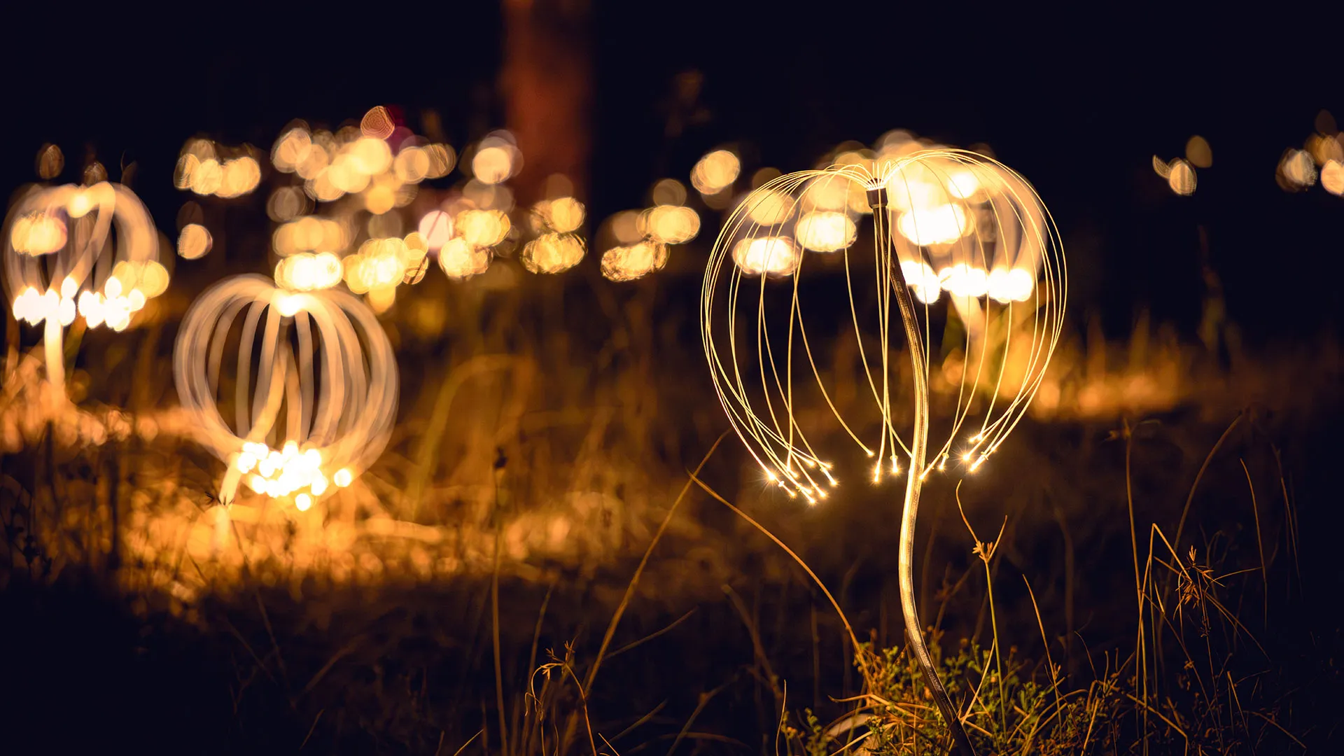 Trail of Lights | Event Photography by Admedia